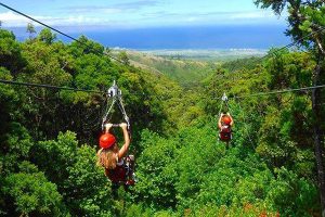 Ziplines – Kapalua