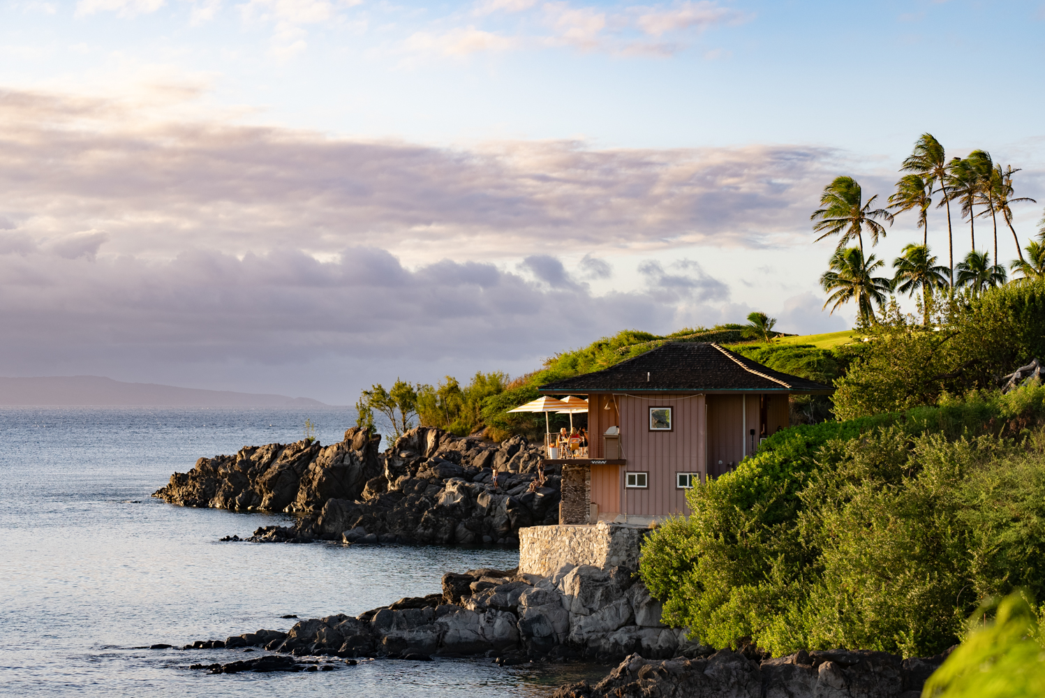 Coffee with Whales – Kapalua